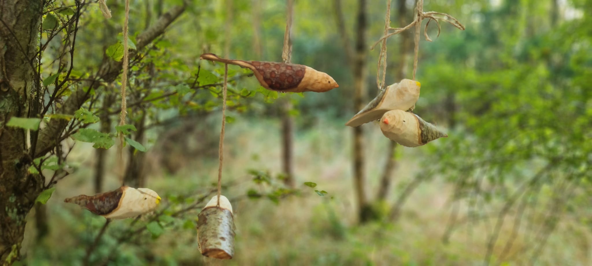 Whittling Wooden Birds for children | Forgan Arts Centre