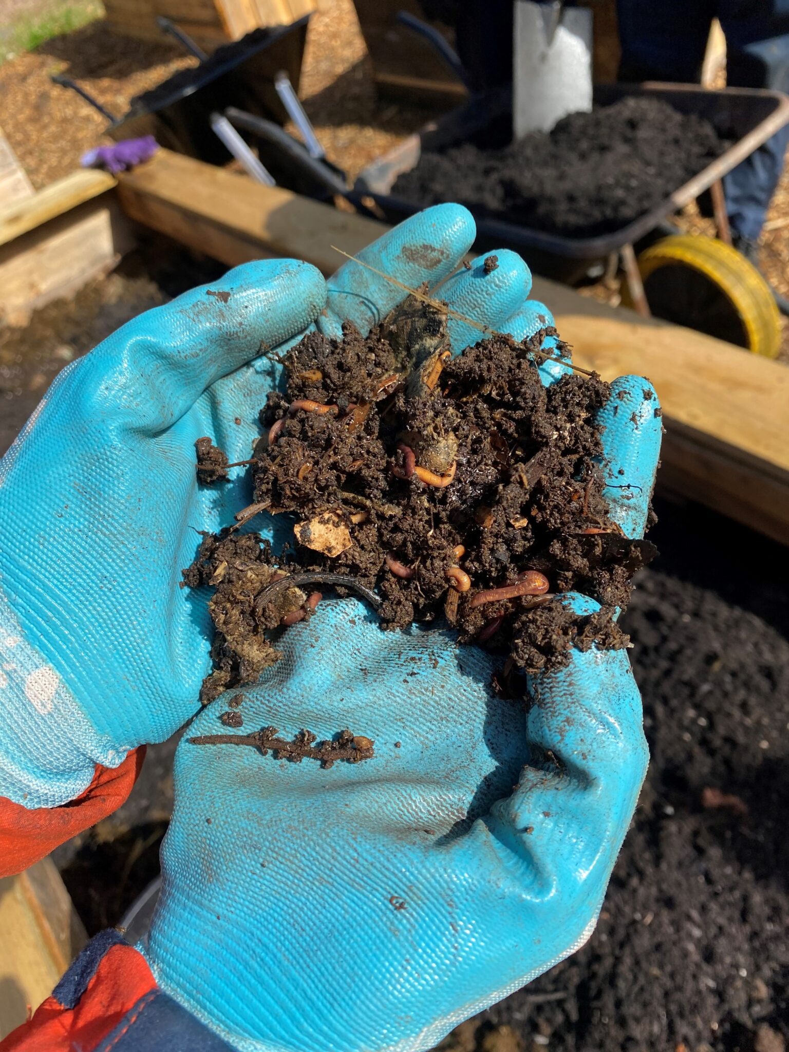 Making a Wormery - Q&A | Forgan Arts Centre