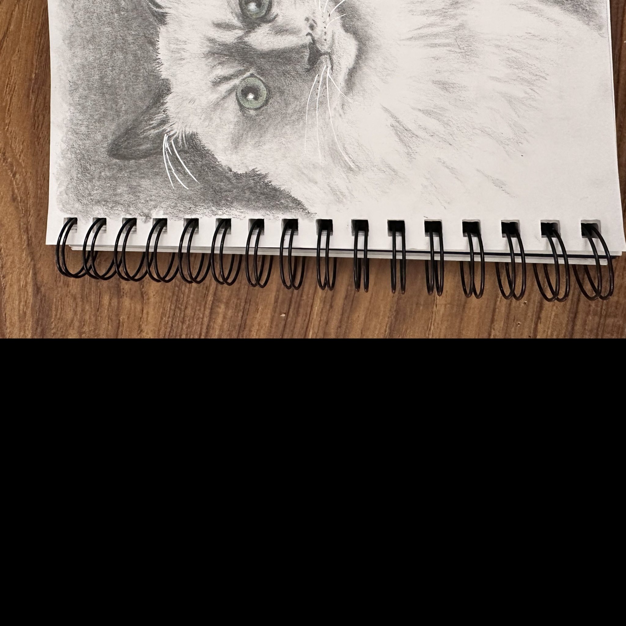 Drawing: Wednesday Afternoon | Forgan Arts Centre